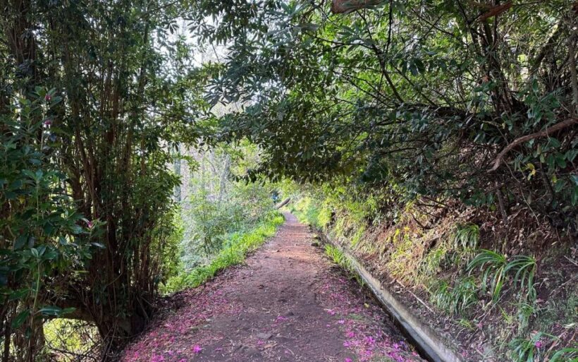 Discover the Paradise Valley - a quick escape for Everyone - FAQ