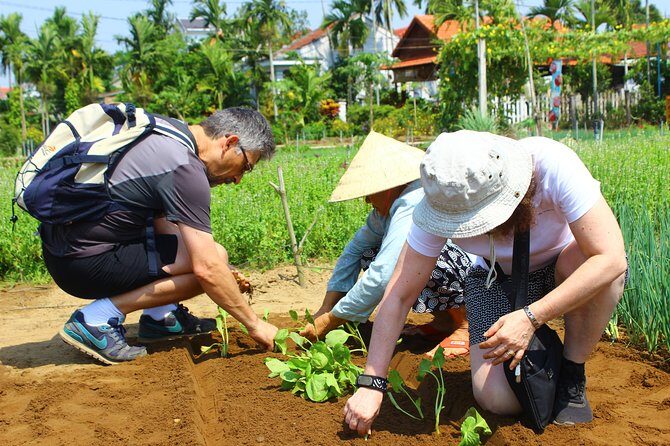 Discover the rural life and cooking class - Key Points