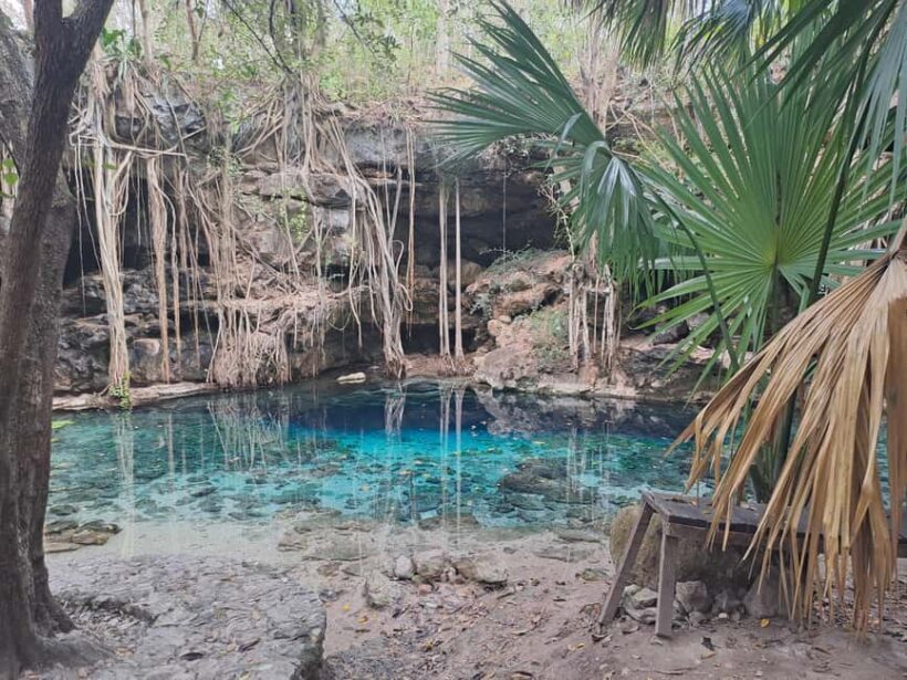 Discover the Serenity: A Tour of the Hidden Cenotes (PVT) - Key Points