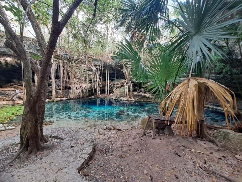 Discover the Serenity: A Tour of the Hidden Cenotes (PVT) - An Authentic Escape to Hidden Cenotes in Yucatán