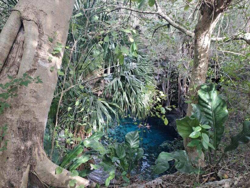 Discover the Serenity: A Tour of the Hidden Cenotes (PVT) - Authentic and Worthwhile for Who?