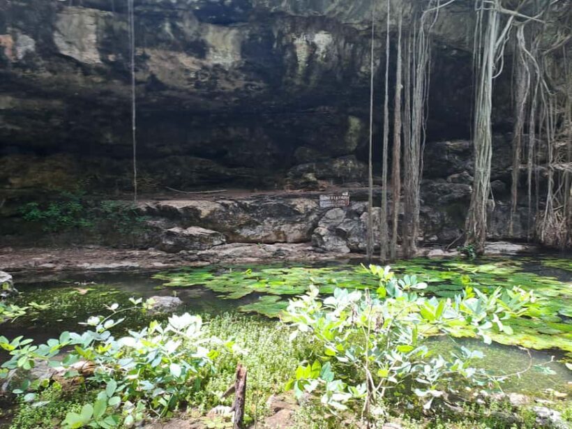 Discover the Serenity: A Tour of the Hidden Cenotes (PVT) - FAQ