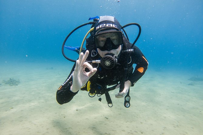 Discover the Underwater World of Lanzarote - Cancellation and Flexibility