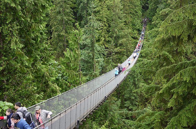 Discover the Wild Beauty of North Vancouver - The Sum Up