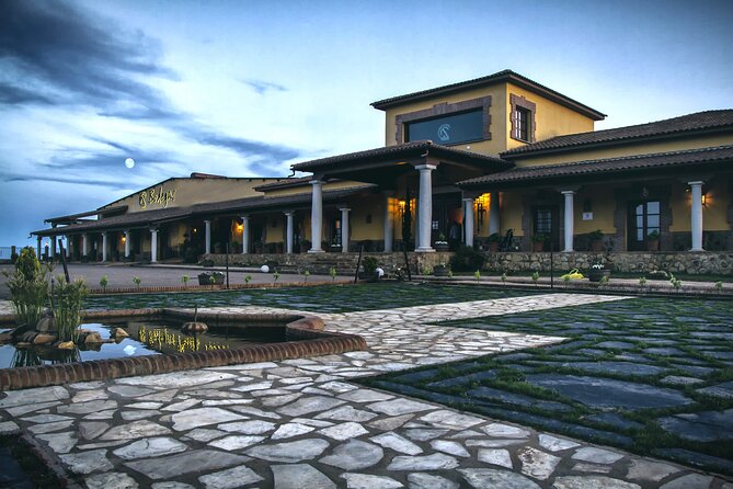 Discover the Winery and Taste fine Wine in Extremadura - Key Points