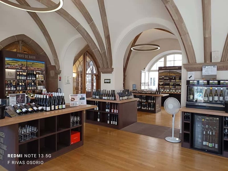 Discover the Wines of Alsace and a brief introduction to Strasbourg. - Who Will Love This Tour?