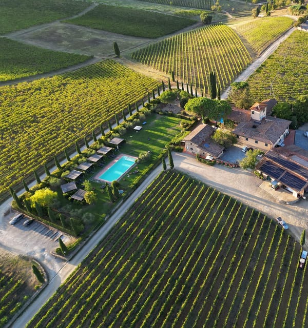 Discover the Wines of Chianti Classico with a tasting at Viticcio - Who Should Consider This Tour?