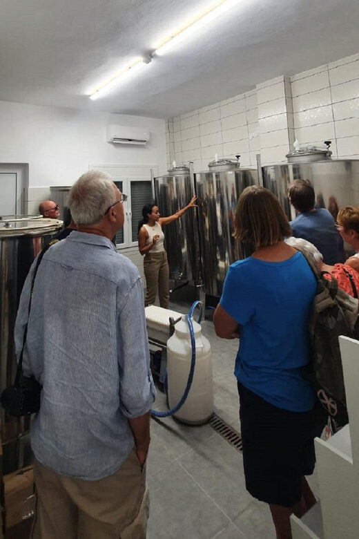 Discover the world of Extra Virgin Olive Oil - An Authentic Journey into Greece’s Olive Oil World