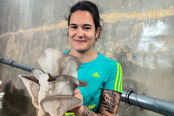 Discover the World of Mushrooms - Final Thoughts