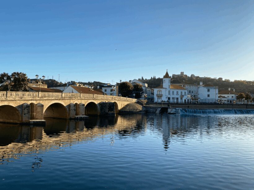 Discover Tomar's History with a Local Guide and Enjoy Tapas! - An Engaging Introduction to Tomar’s Heritage