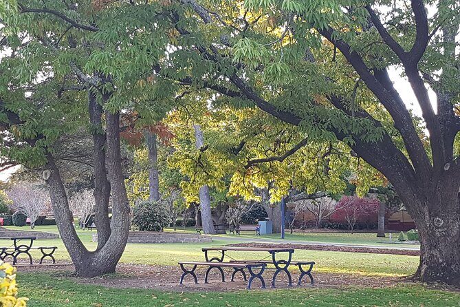 Discover Toowoomba Tours - Exploring the Core of the Tour: What to Expect