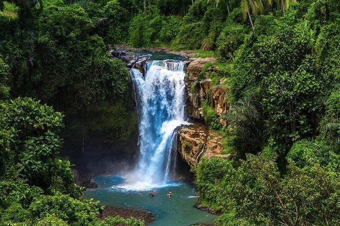 Discover Ubud: Exotism Ubud and Optional Meet the Bali Shaman - Who Will Love This Tour?