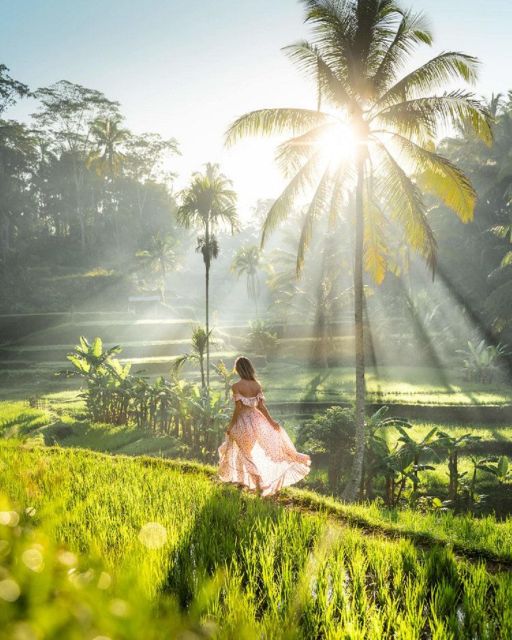 Discover Ubud: Tailored Private Tour with Top Highlight - What Travelers Say