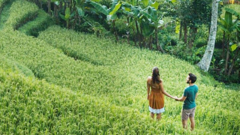 Discover Ubud: Tailored Private Tour with Top Highlight - Frequently Asked Questions
