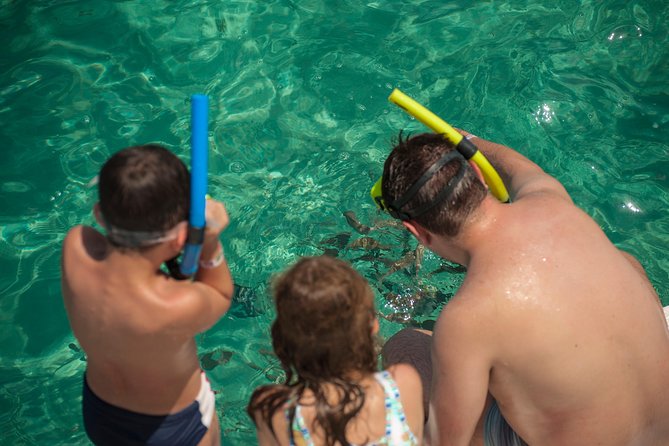 Discover Underwater Beauty: Explore Maracajaús Parrachos Reef - Floating Platforms: Enjoying the Underwater Spectacle