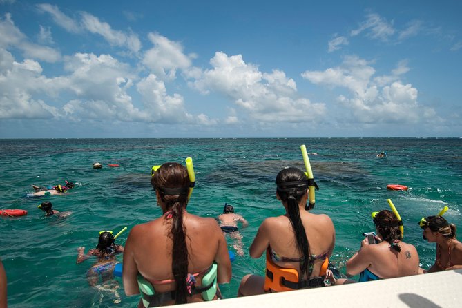 Discover Underwater Beauty: Explore Maracajaús Parrachos Reef - Transportation and Inclusions: Your All-Inclusive Tour