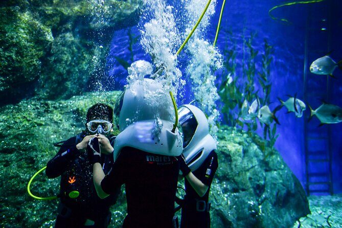 Discover UnderWater Blue Lagoon with this Snorkeling - Key Points