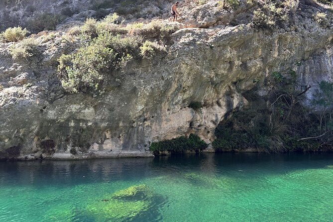 Discover Valencias Magical Nature - The Beauty of the Albufera Natural Park