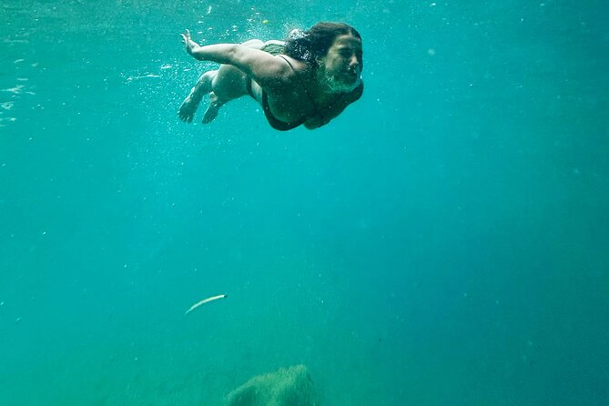 Discover Valencias Magical Nature - Experience the Mediterranean Coast