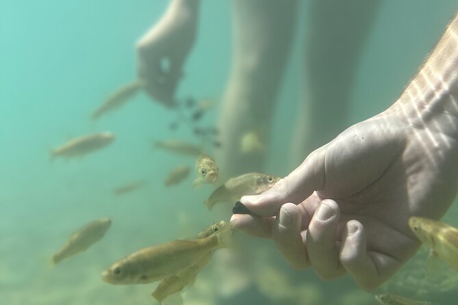 Discover Valencias Magical Nature - Booking Your Magical Nature Experience