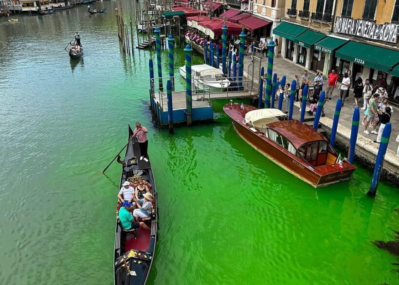 Discover Venice: Morning Walking Tour & Gondola - Who Will Love This Tour?
