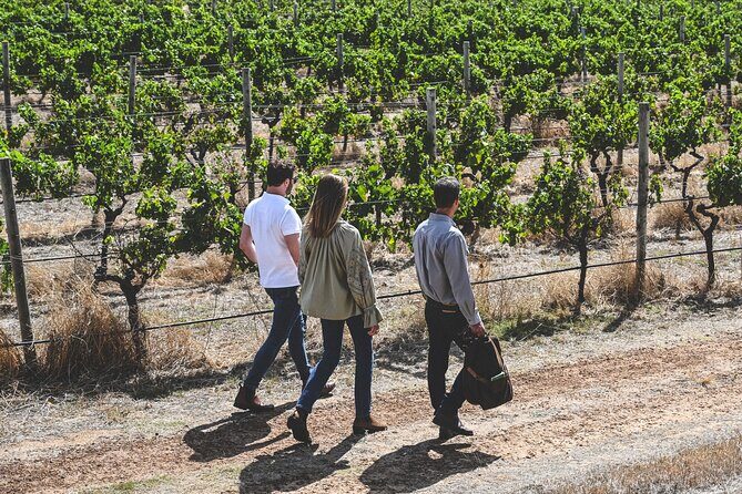 Discover Voyager Tour and Seasonal Lunch - The Seasonal Lunch: A Perfect Pairing
