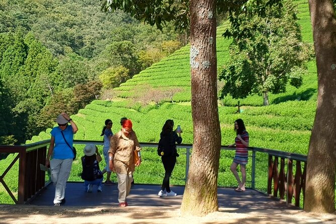 Discover Western Korea in 4days: All-Inclusive Experience - The Sum Up: Is It Worth It?