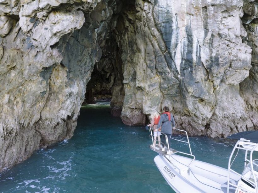 Discover Whangamata - Boat Tour - An Overview of the Experience