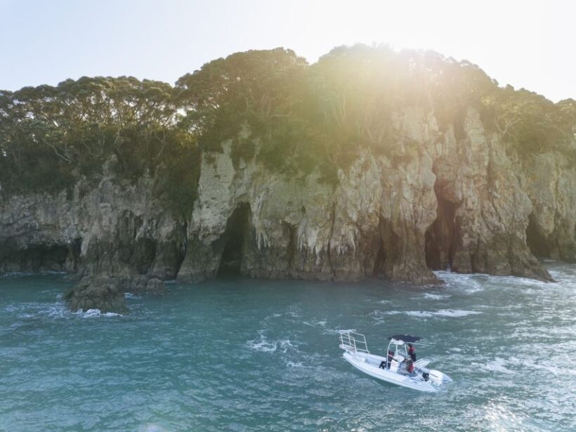 Discover Whangamata - Boat Tour - What to Bring and Practical Tips