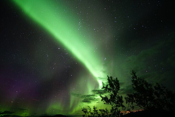 Discover Whitehorse with Northern Lights and Yukon Wildlife Tour - Who Will Love This Tour?