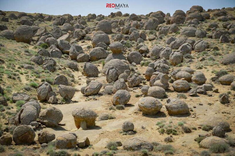 Discover Whole Mangystau in 7 days - Group Tour - Key Points