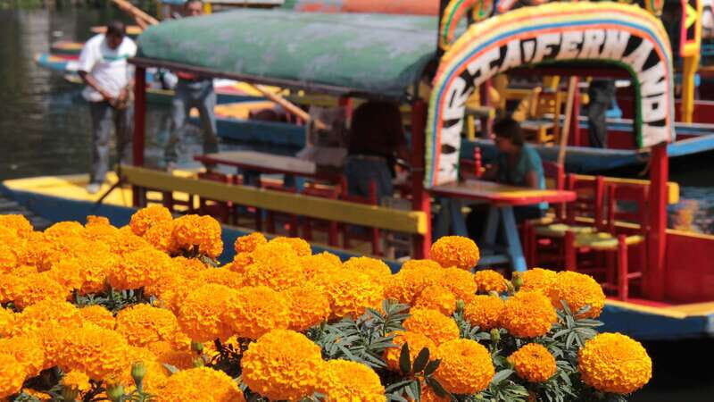 Discover Xochimilco and Coyoacán: Tradition, Music, Culture - FAQ
