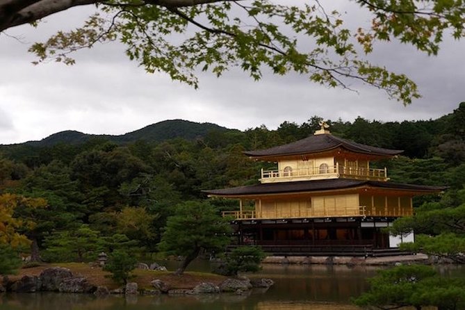 Discover Your Kyoto -Private Kyoto Customized Walking Tour- - Customization Options