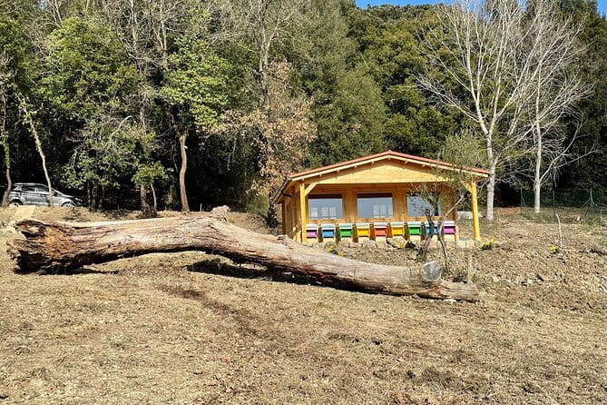 Discovering Bees in Volterra - Final Thoughts