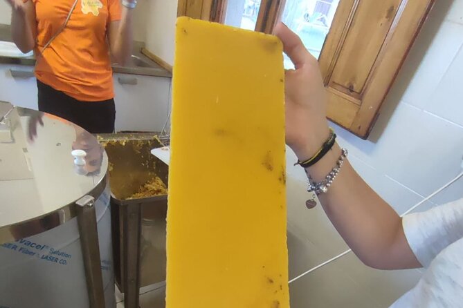 Discovering Bees in Volterra - Learning Beekeeping Practices