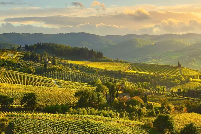 Discovering Chianti: Sunset eBike Tour and Dinner - Who Will Love This Tour?