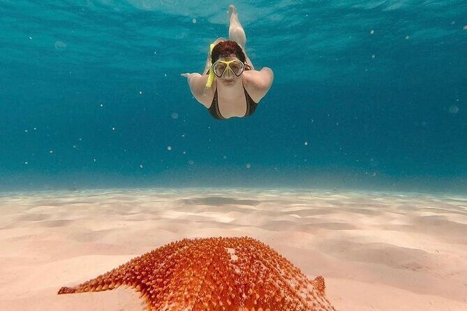 Discovering El Cielo Reef by Double Decker Catamaran - Who Will Love This Tour?