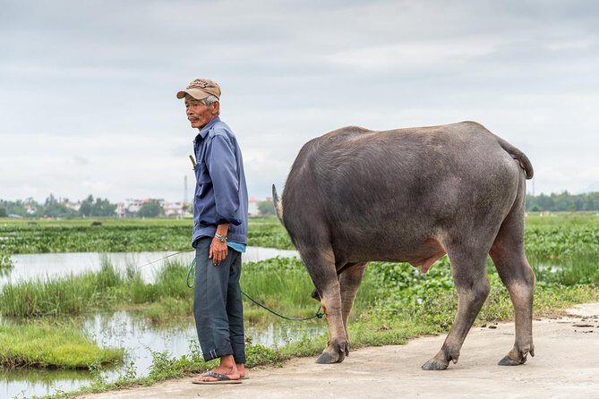 Discovering Hoi An Countryside Local style From Hoi an - Who Will Love This Tour?