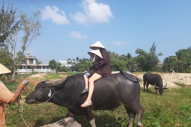 Discovering Hoi An Countryside Local style From Hoi an - Final Thoughts