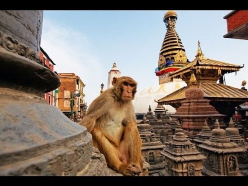 Discovering Kathmandu: Full-Day City Highlights Bus Tour - Key Points