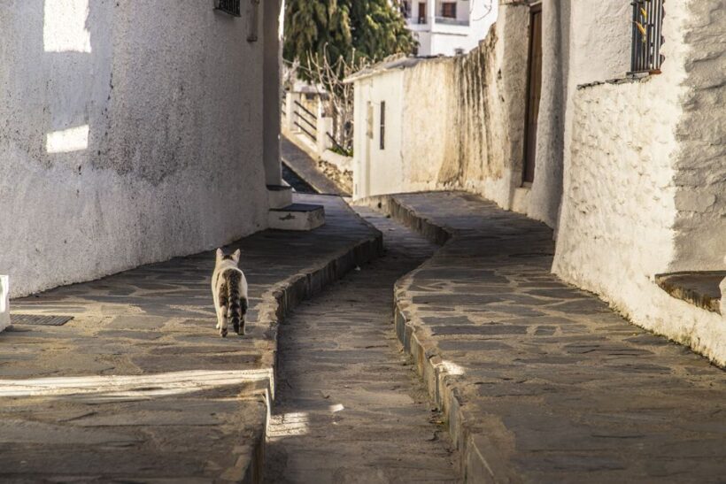 Discovering Las Alpujarras from Málaga - SemiPrivate - The Sum Up