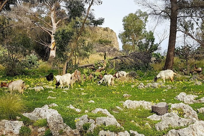 Discovering Monte Pellegrino - Highlights of the Mount Pellegrino Bike Tour
