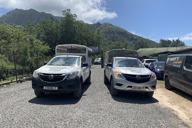 Discovering Moorea from Tahiti in 4x4 with the Ferry Terevau - Inside Moorea’s Pineapple Fields