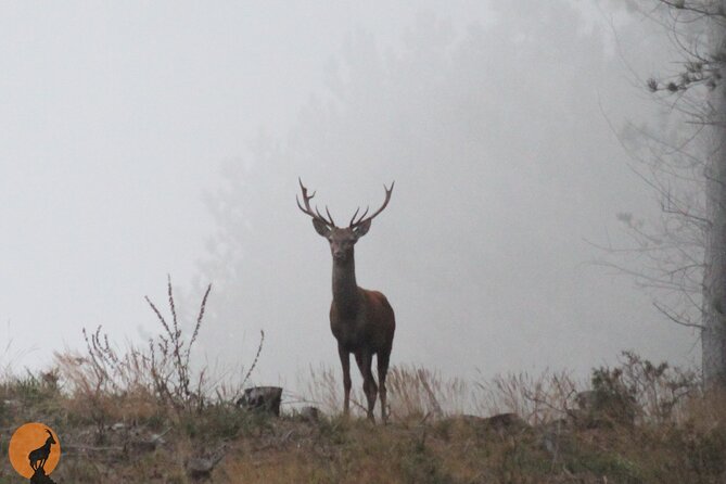 Discovering Nature in Serra Da Lousã - Explore the Captivating Serra Da Lousã