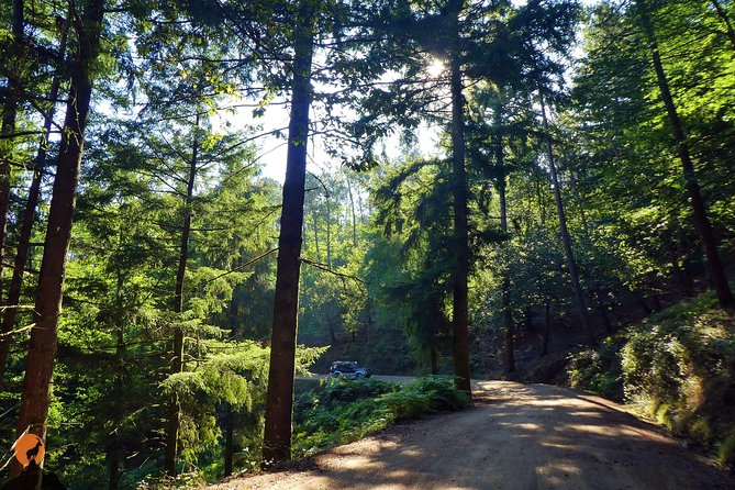 Discovering Nature in Serra Da Lousã - Hike Through Scenic Trails