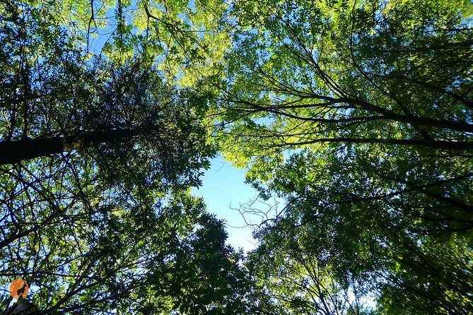 Discovering Nature in Serra Da Lousã - Relish the Personalized Tour Experience