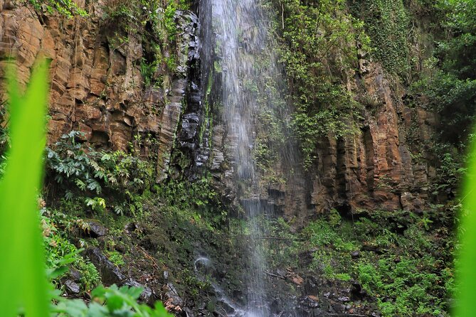 Discovering Northwest Madiera Shore Excursion w/ Harbour pickup - Porto Moniz’s Botanical and Coastal Beauty