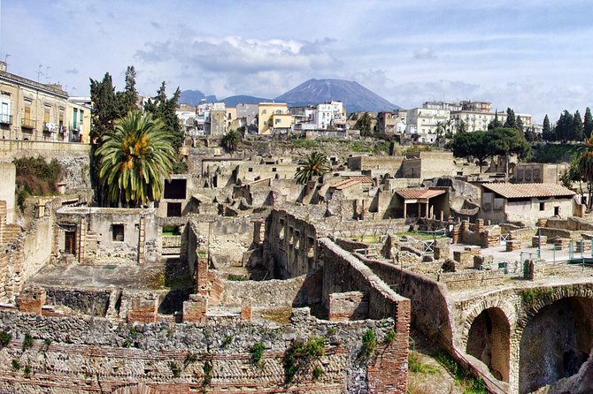 Discovering Pompeii and Herculaneum - VIP Tour With Lunch - Reviews and Feedback