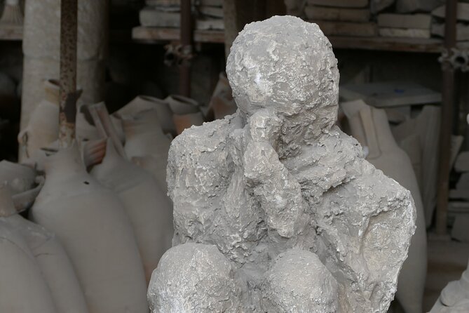 DISCOVERING POMPEII - VIP Tour/Small Group - Ensuring a Comfortable and Hassle-Free Tour Experience