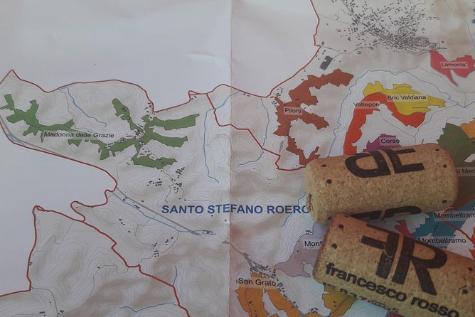 Discovering Roero and Its Wines - Insights Into the Winemaking Process